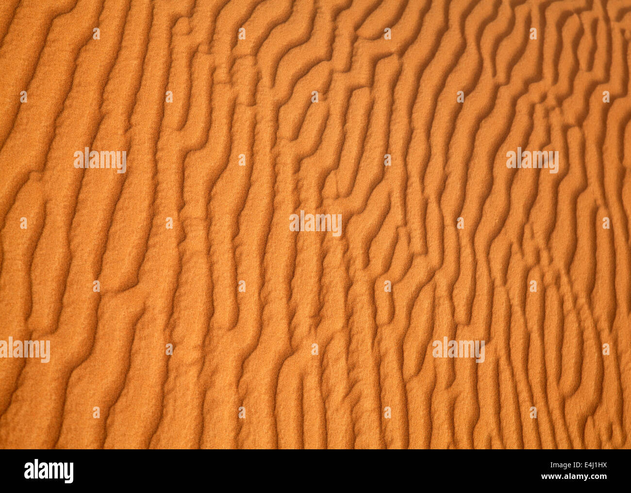 Red sand "Arabian desert" near Dubai, United Arab Emirates Stock Photo ...
