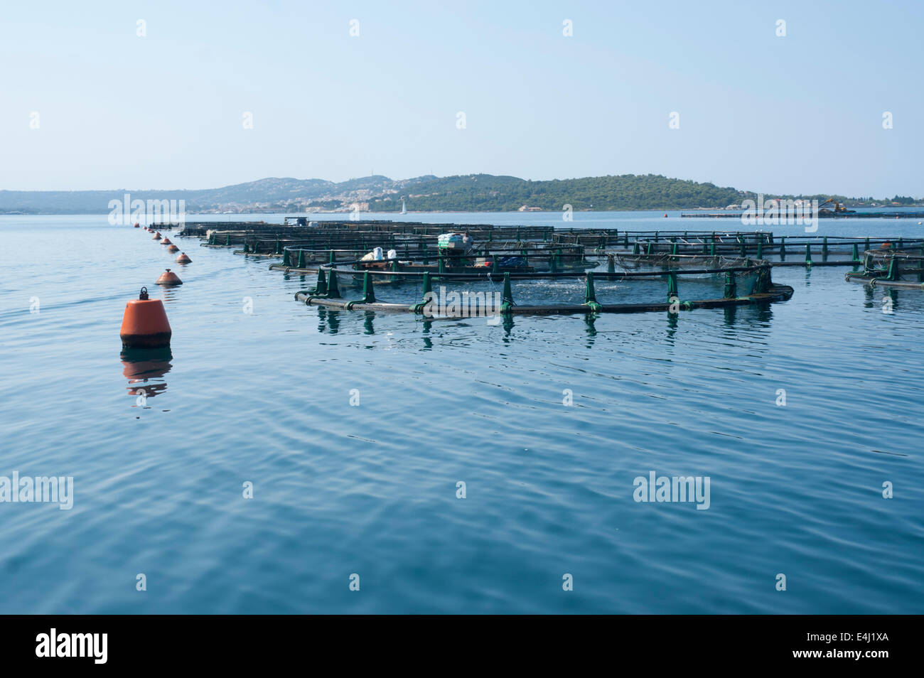 Fish Farm off the coast of Argostoli Kefalonia Greece Stock Photo - Alamy