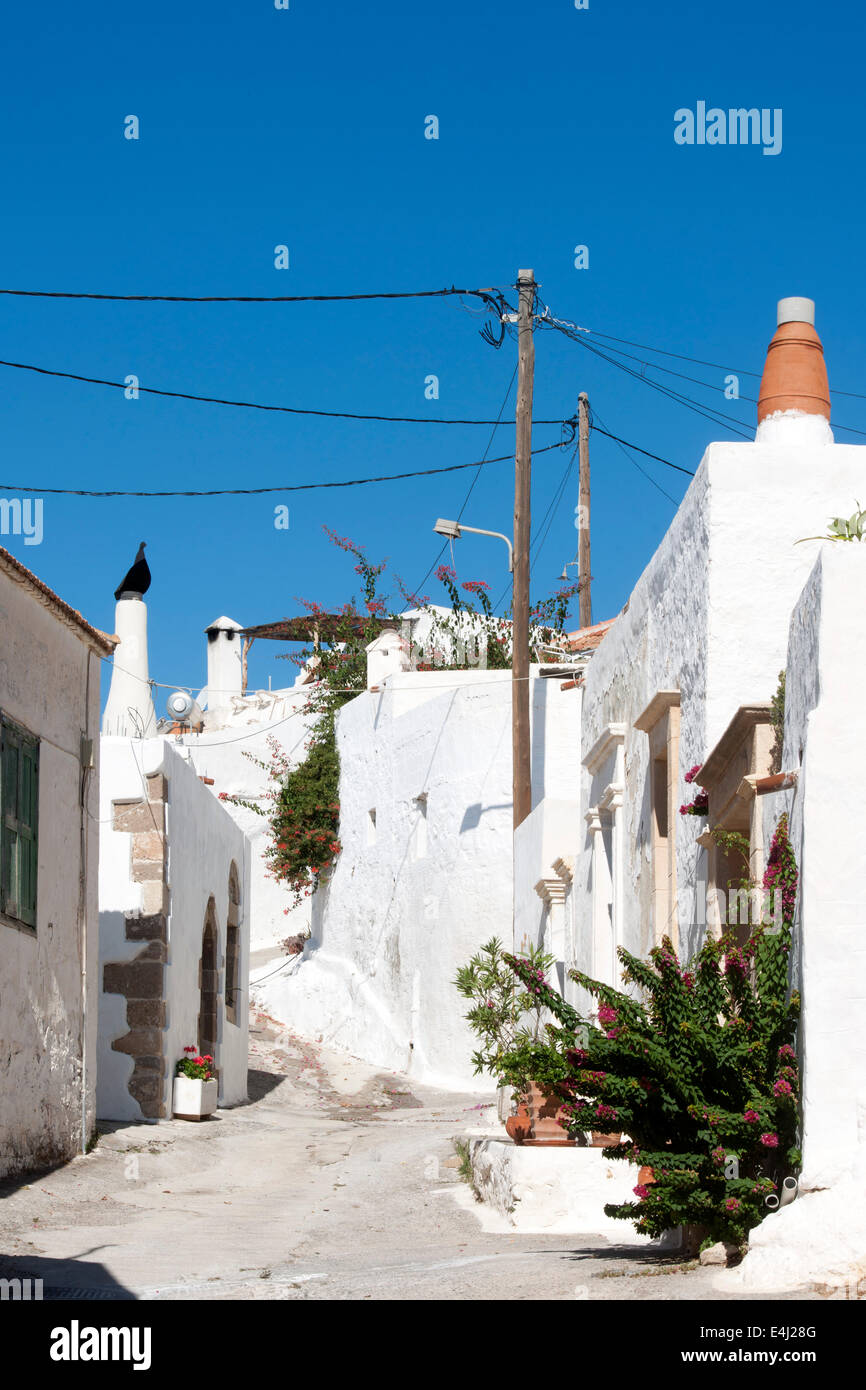 Lachania hi-res stock photography and images - Alamy