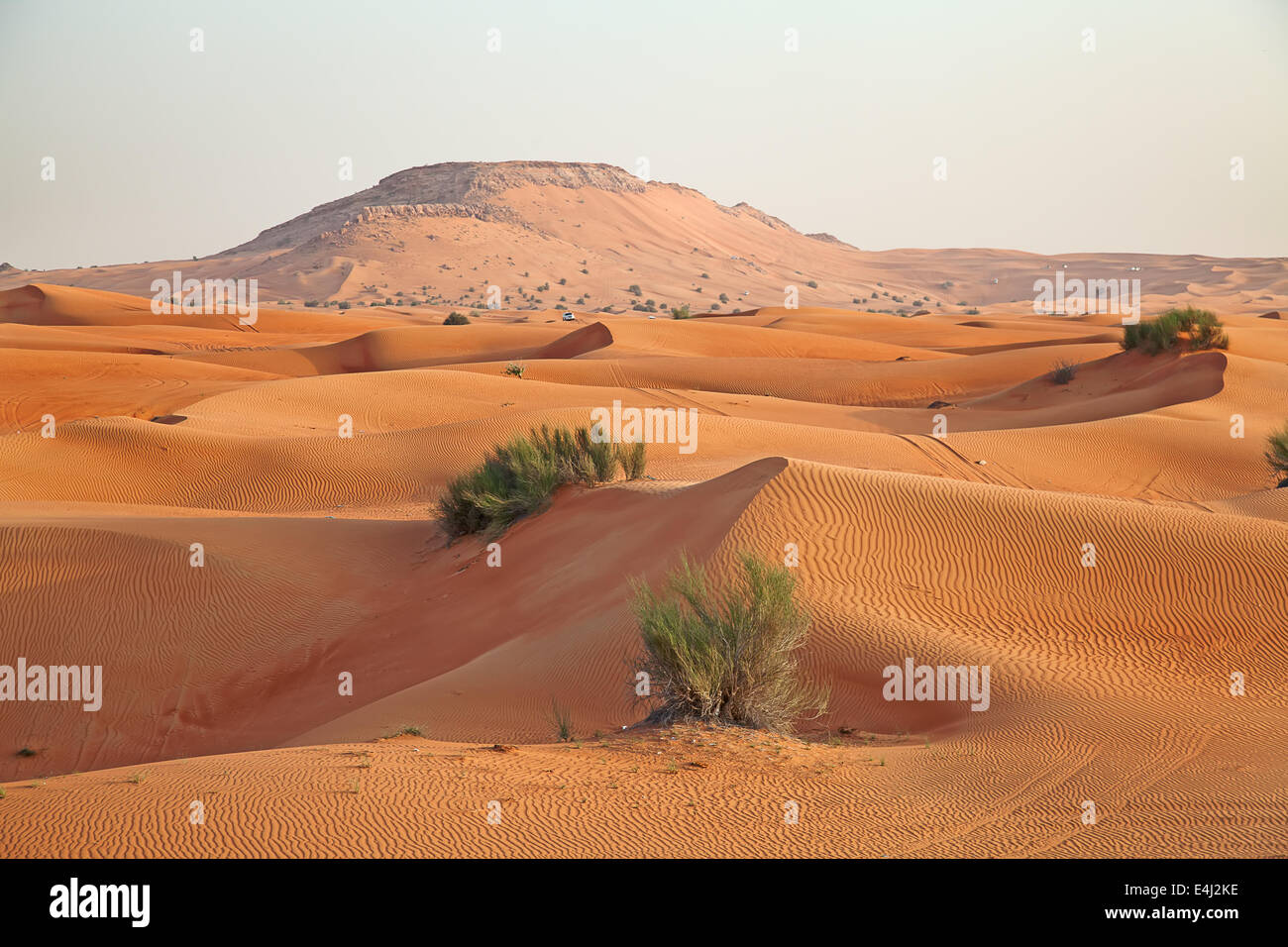 Red sand "Arabian desert" near Dubai, United Arab Emirates Stock Photo ...
