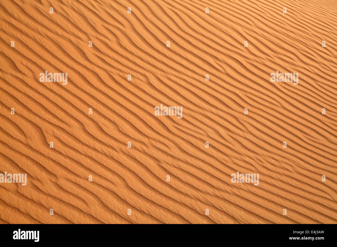 Red sand "Arabian desert" near Dubai, United Arab Emirates Stock Photo ...