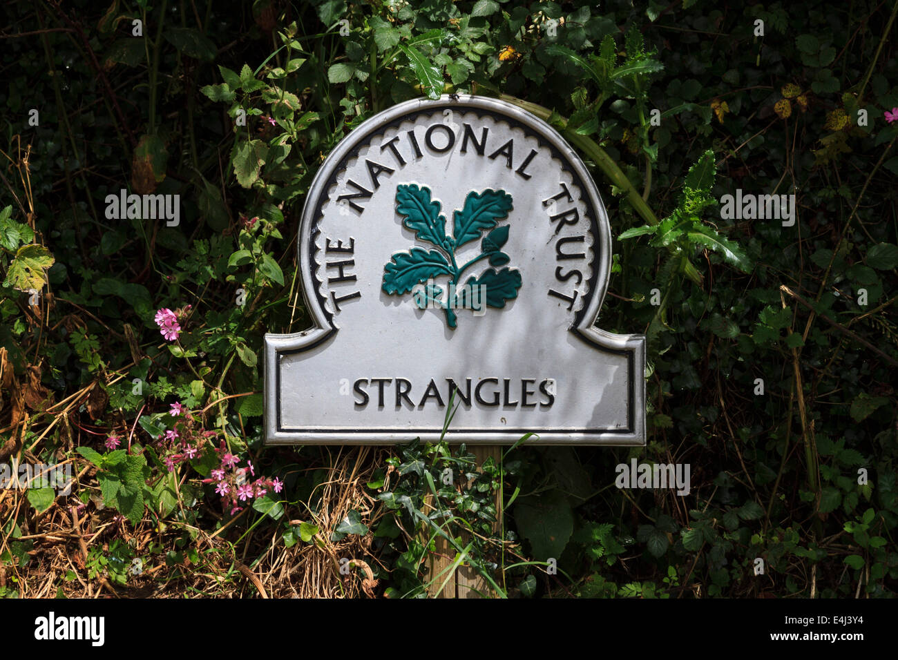 National Trust sign at the Strangles, Cornwall Stock Photo - Alamy