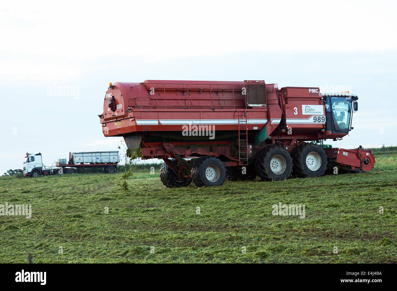 Viners hi-res stock photography and images - Alamy
