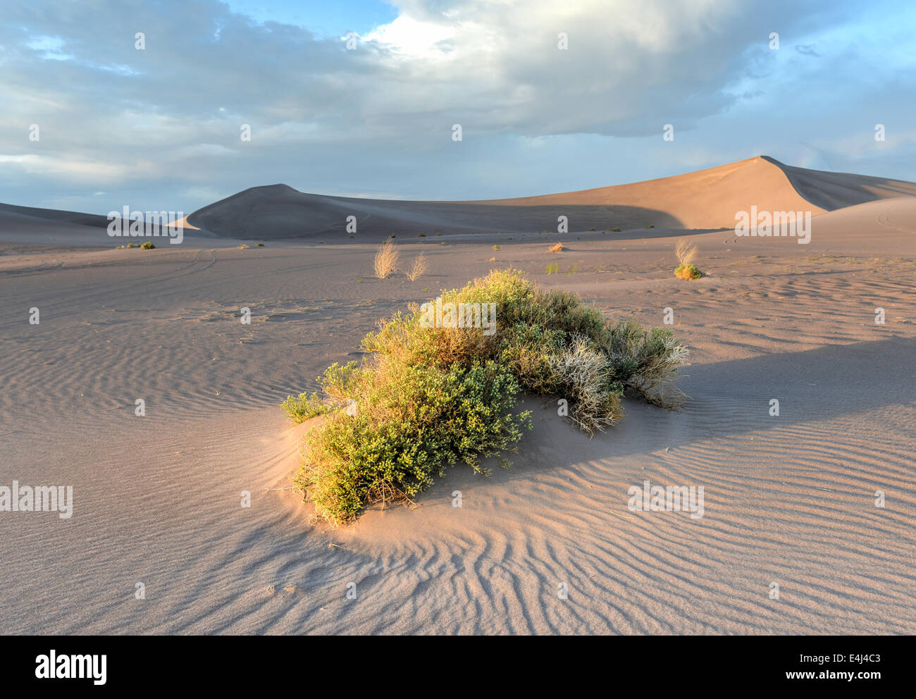 Sand Dunes along the Amargosa Desert at sunset. Located in Nye County ...