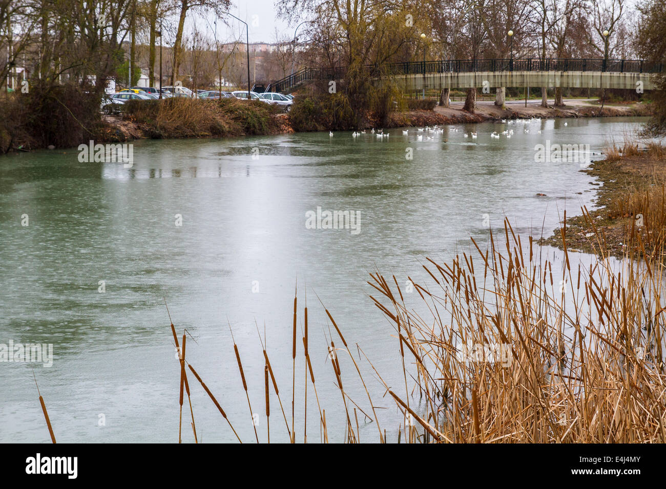 Tajo river.Aranjuez, Madrid, Spain.World Heritage Site by UNESCO in ...