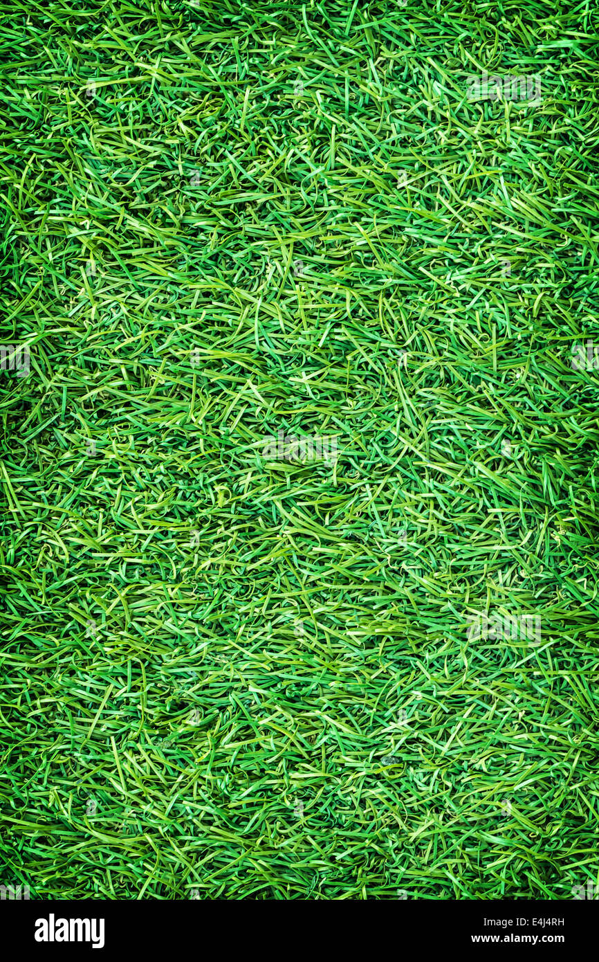 Green artificial turf texture for background Stock Photo - Alamy
