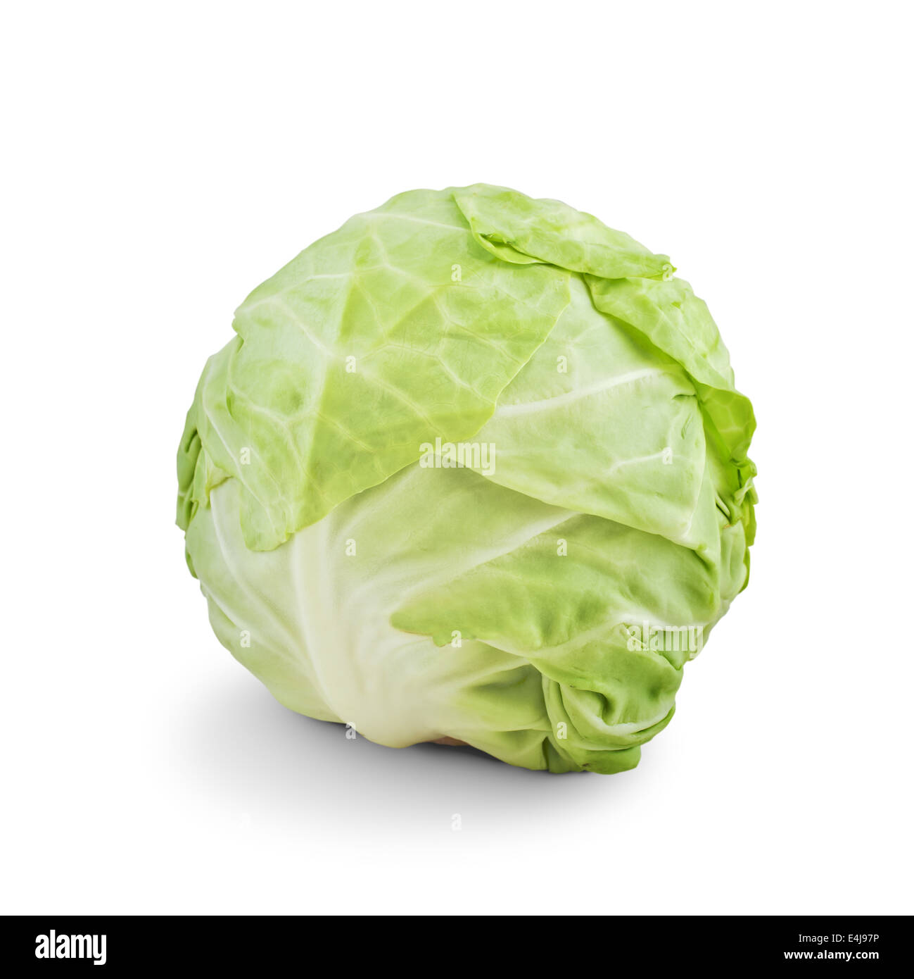 Whole Green Cabbage on white background with soft shadow Stock Photo ...