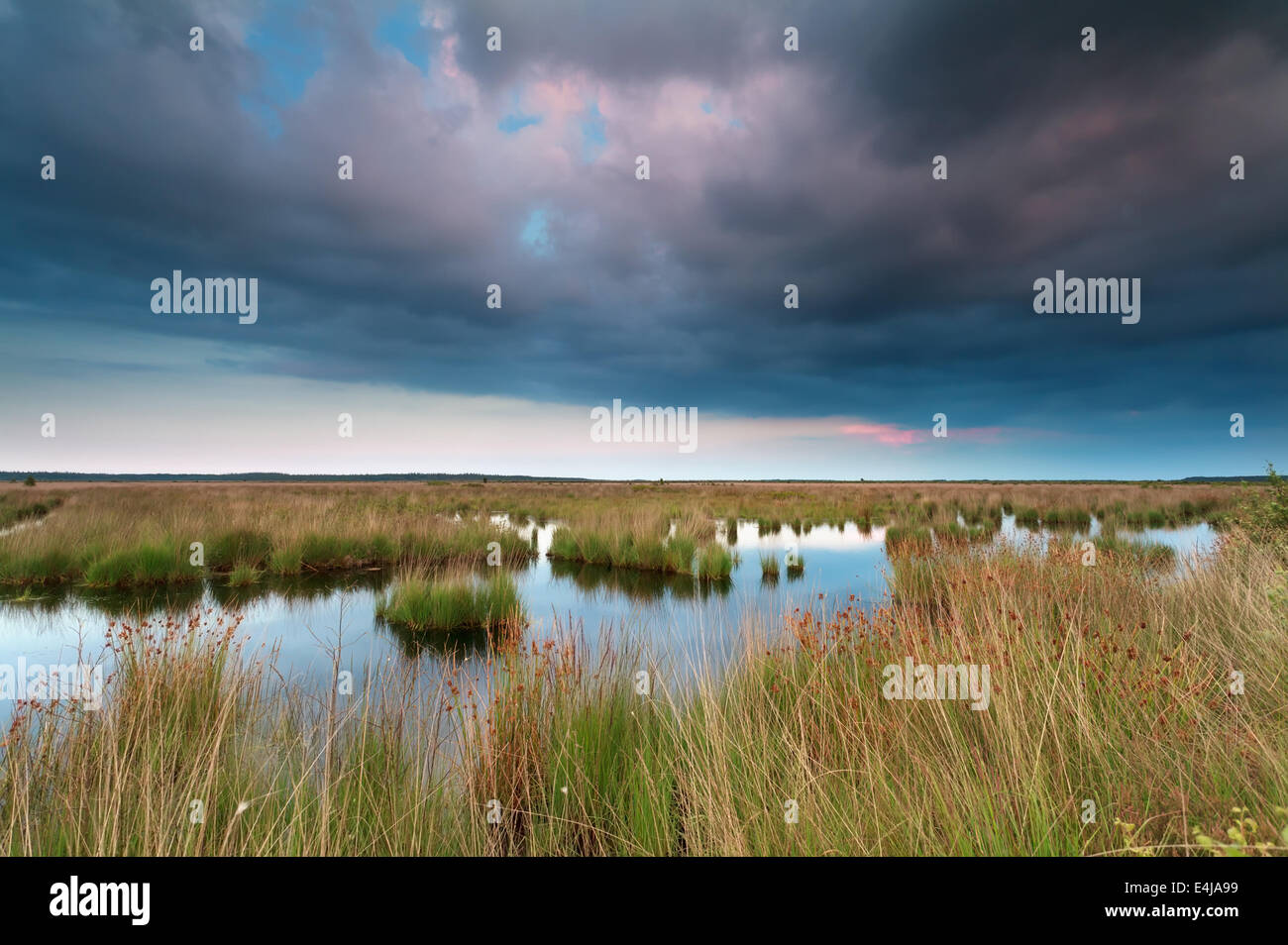 clouded sunset over swamp, Fochteloerveen, Friesland, Netherlands Stock ...