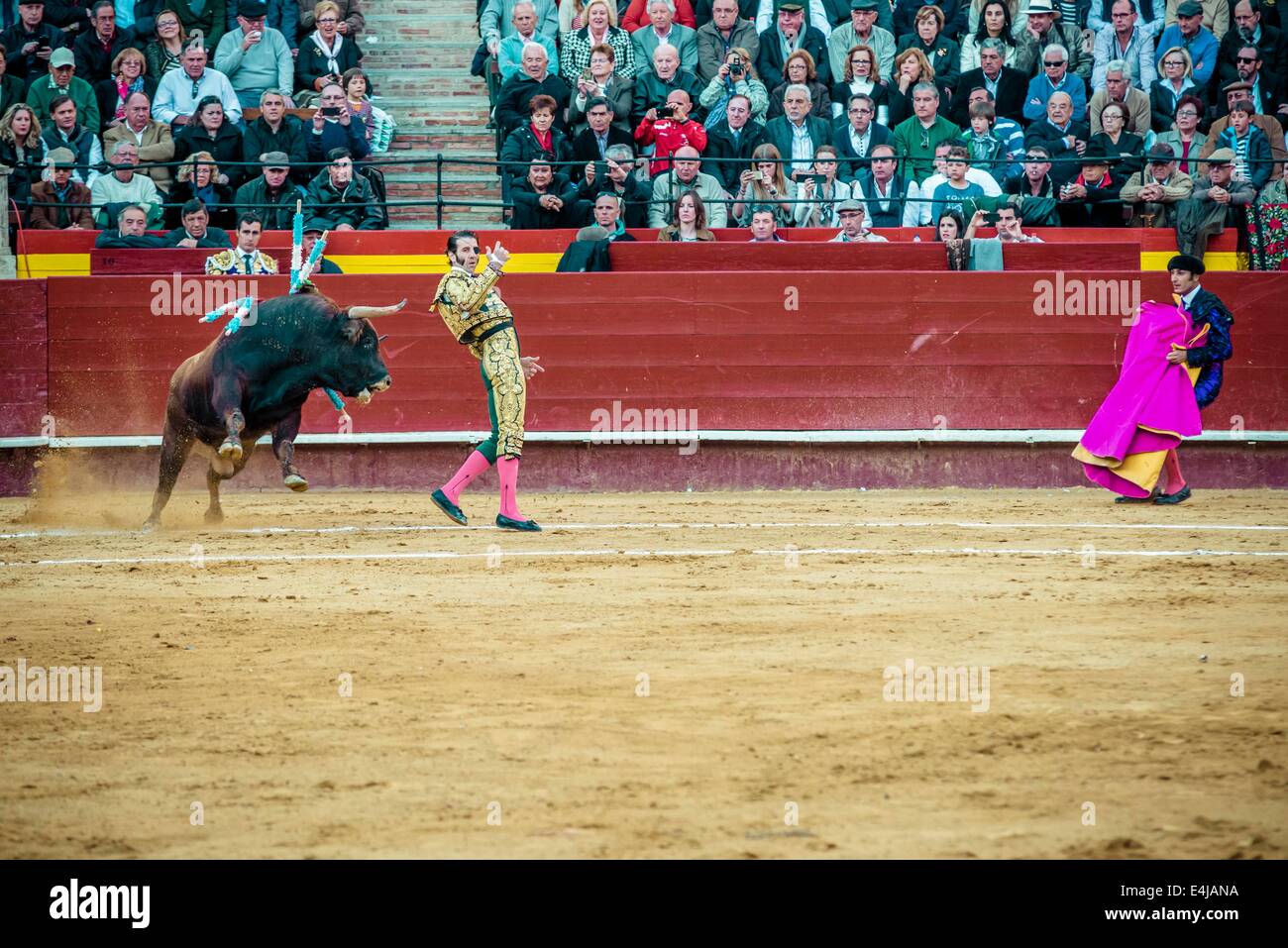 Bullfighter juan jose padilla hi-res stock photography and images - Alamy