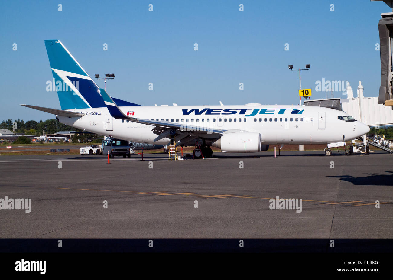 A WestJet Airlines Boeing 737-700 parked on the tarmac at Victoria ...