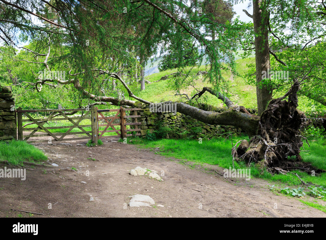 Fallen wall hi-res stock photography and images - Alamy