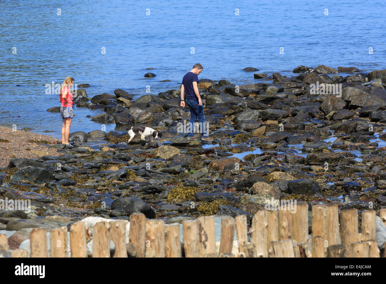 Tide pools hi-res stock photography and images - Alamy