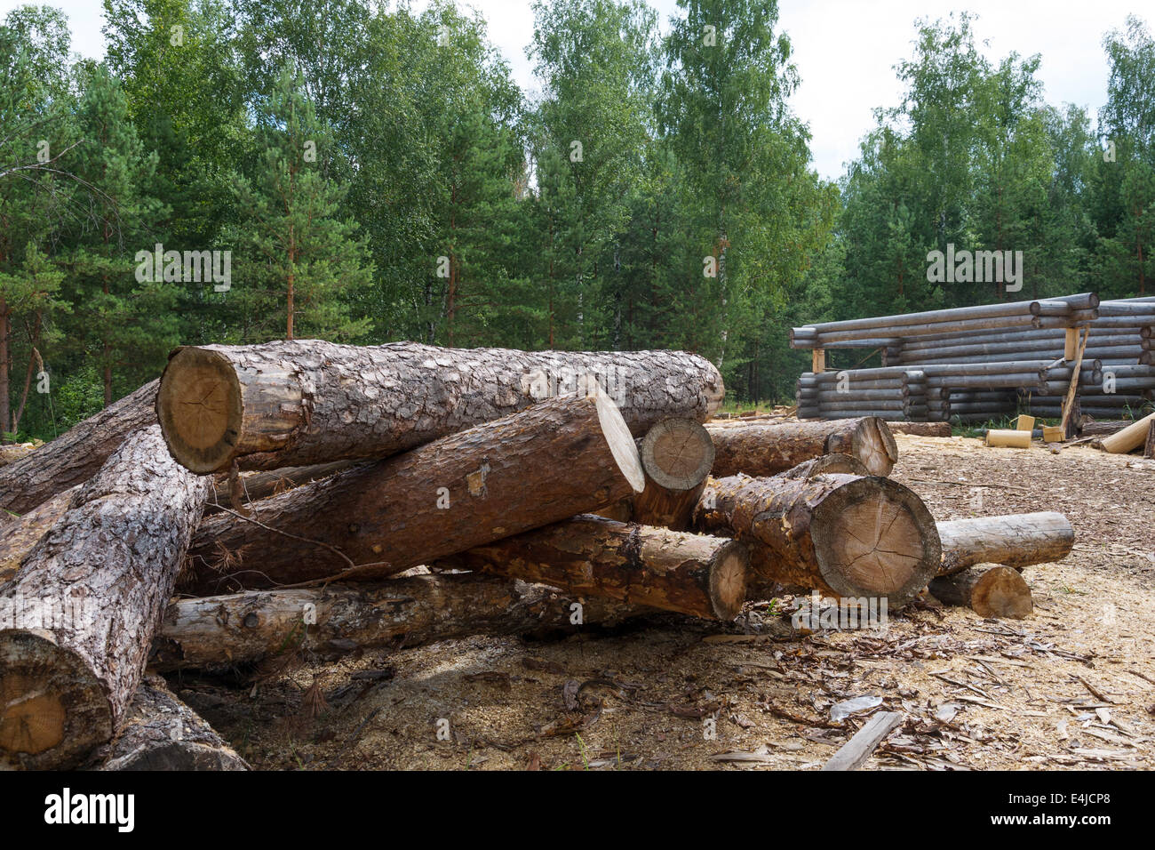 Not planed pine timber in the open air Stock Photo - Alamy