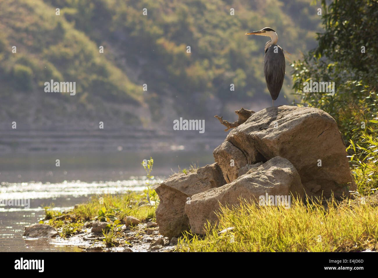 Big grey rock hi-res stock photography and images - Alamy