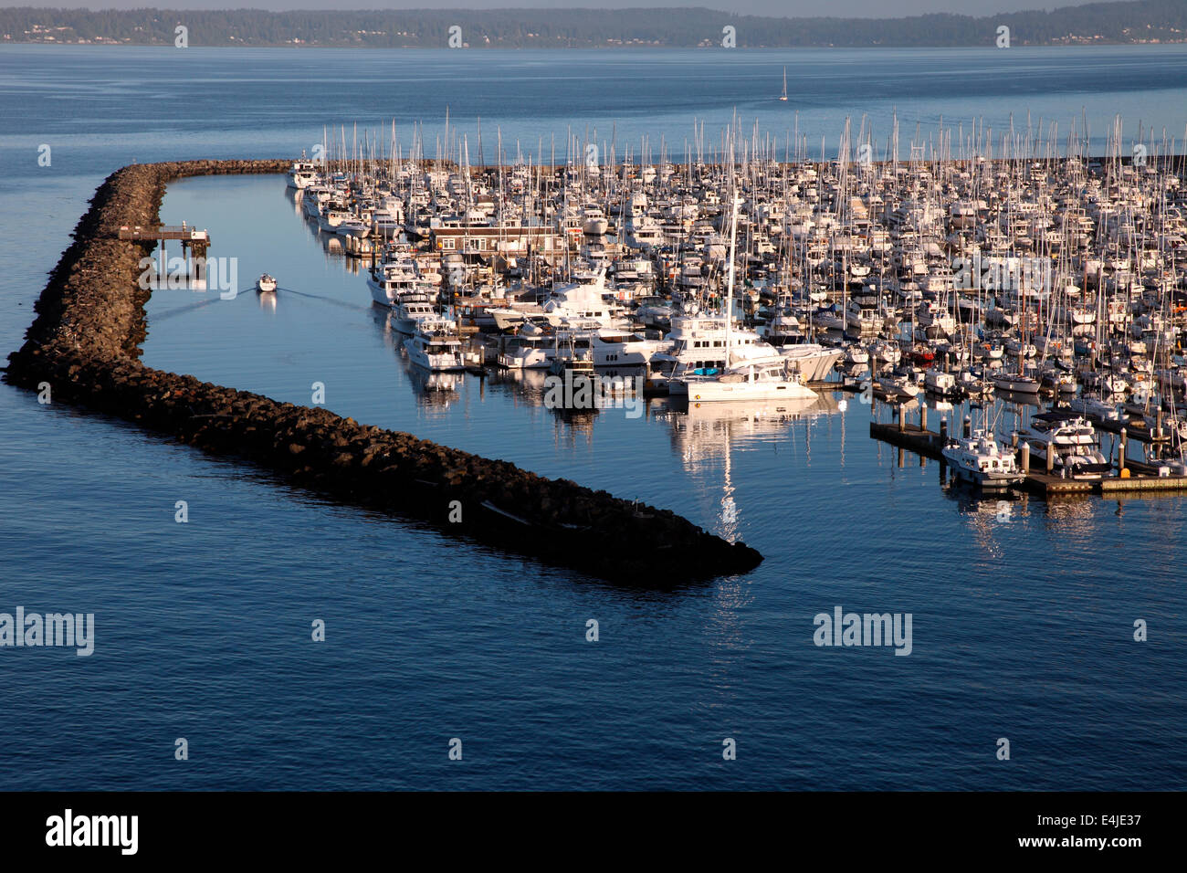 Seattle Marina early morning Stock Photo - Alamy