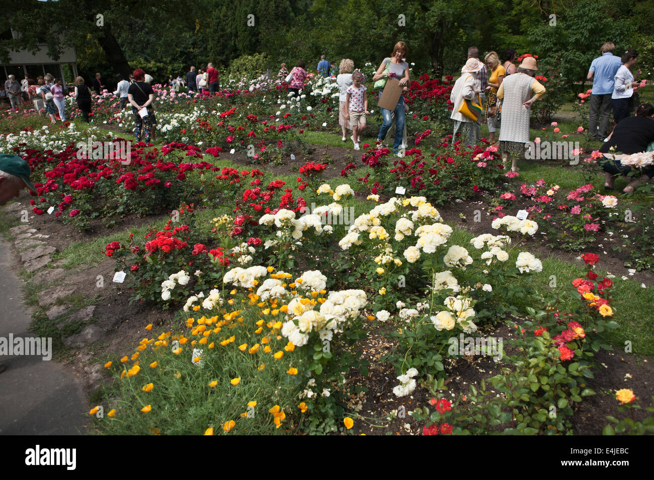 Latvian University Botanical Garden in Riga Latvia Stock Photo - Alamy