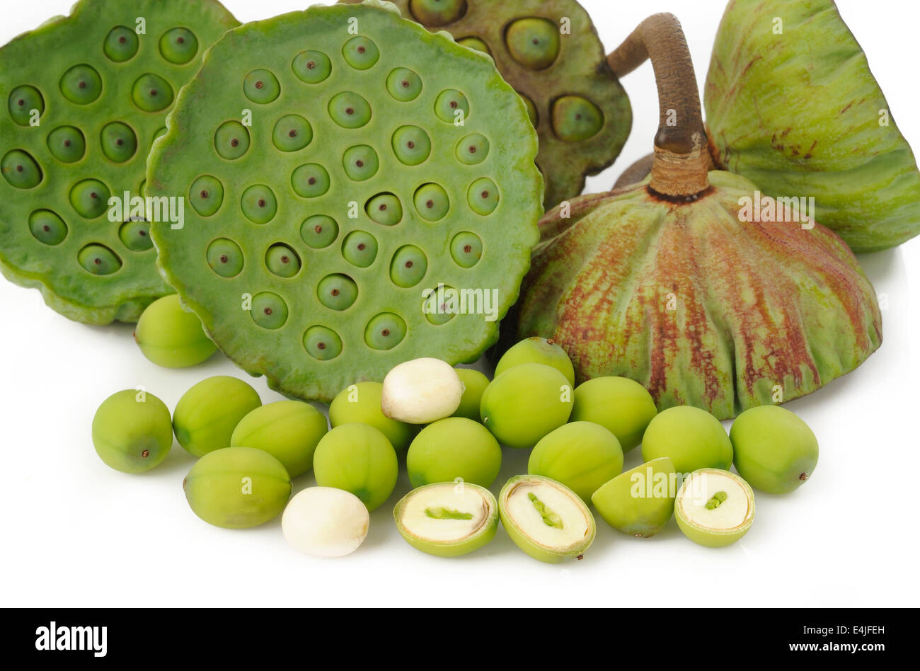 lotus seed pods on white background Stock Photo - Alamy