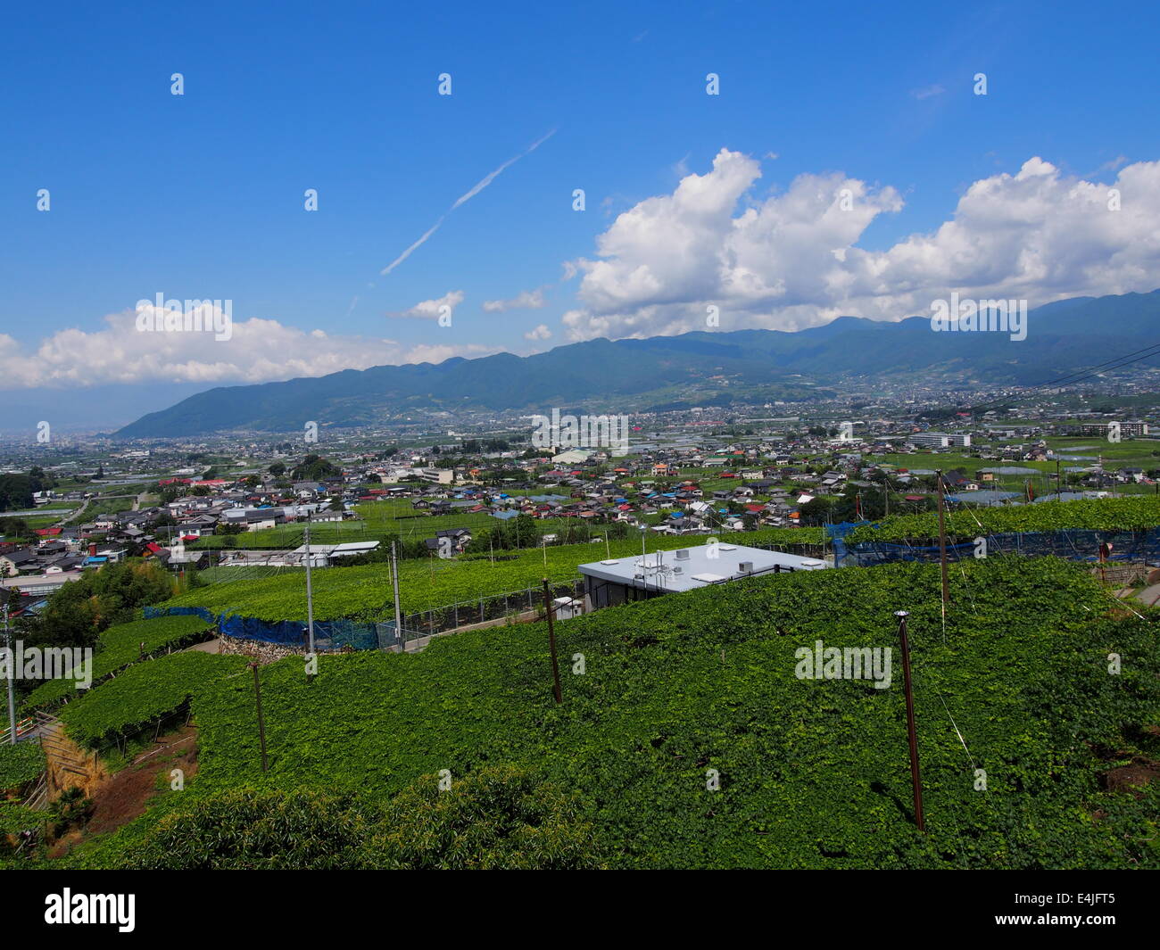 Landscape of Kofu Basin in Yamanashi, Japan Stock Photo - Alamy