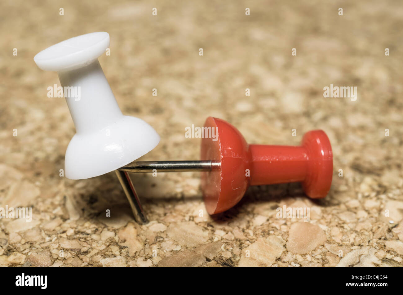 pins on a cork board Stock Photo - Alamy