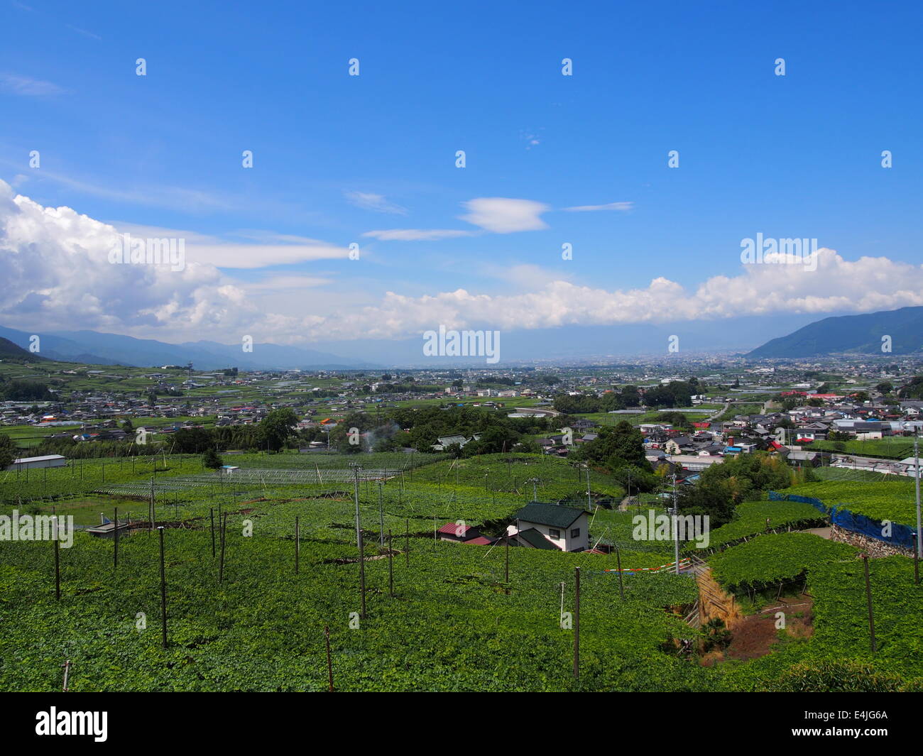 Kofu hi-res stock photography and images - Alamy