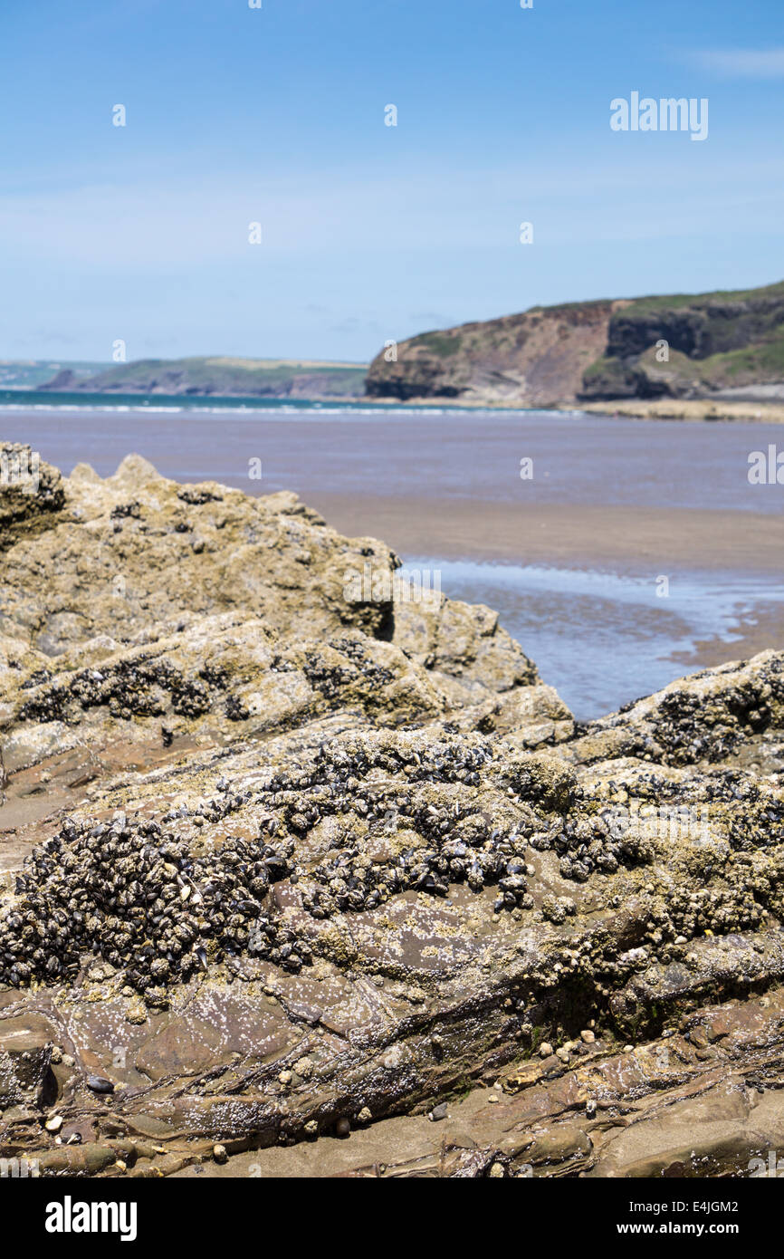 Broad haven beach hi-res stock photography and images - Alamy