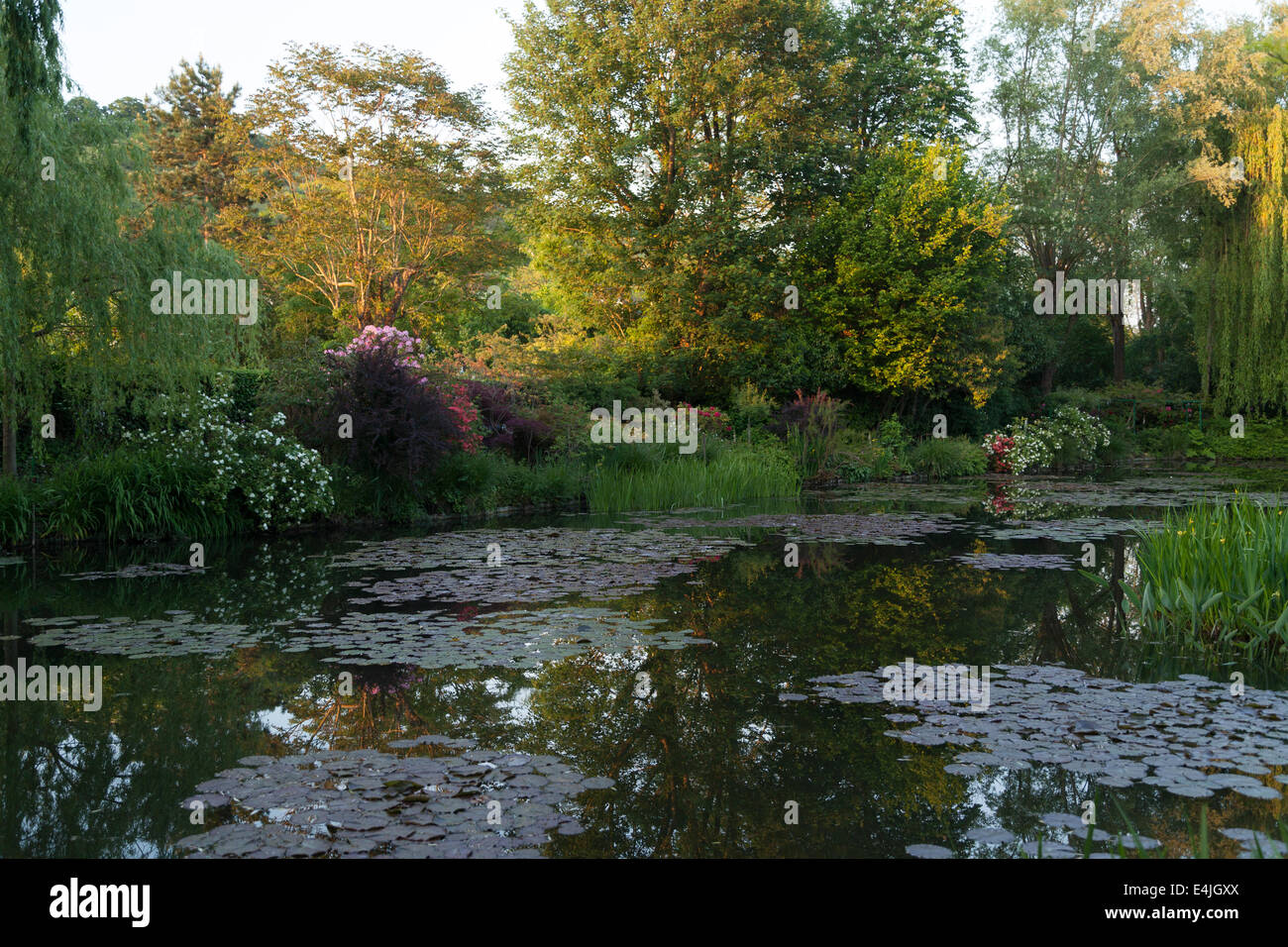 Monets water lilies hi-res stock photography and images - Alamy