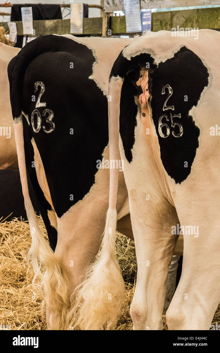 Numbered 2 hi-res stock photography and images - Alamy