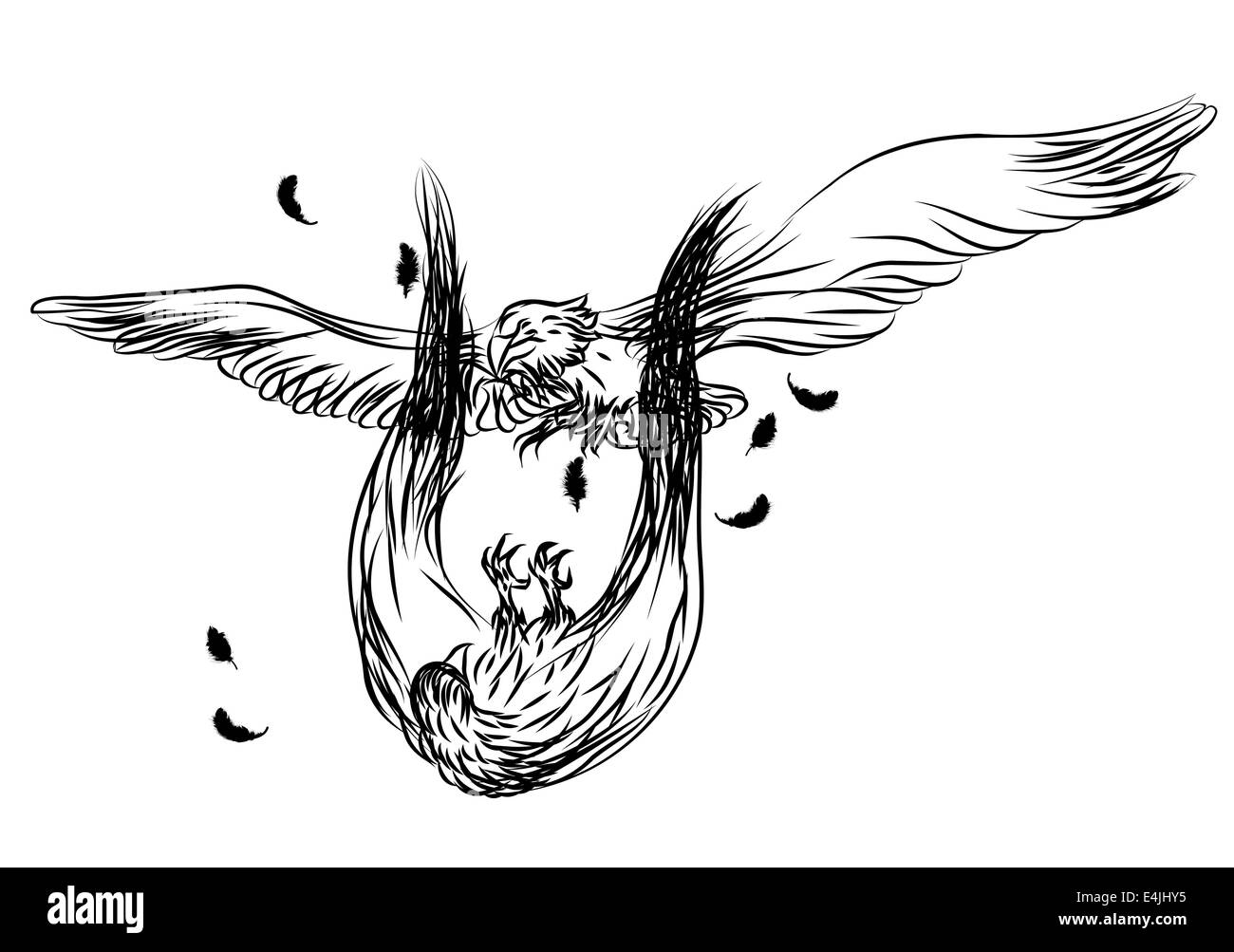 Attacking Bird Drawing