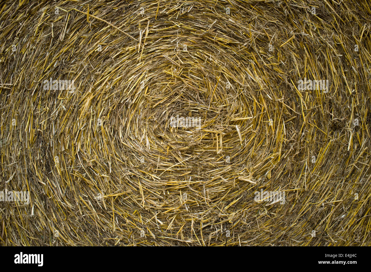Detail of a circular straw bale Stock Photo - Alamy