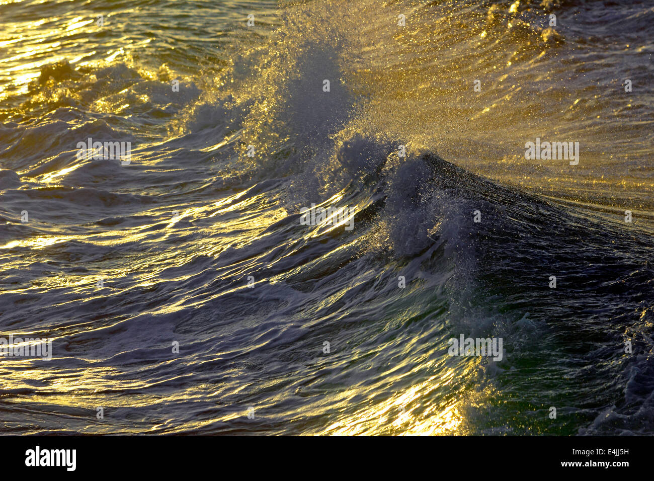 Wind whipped ocean waves at sunset Stock Photo - Alamy