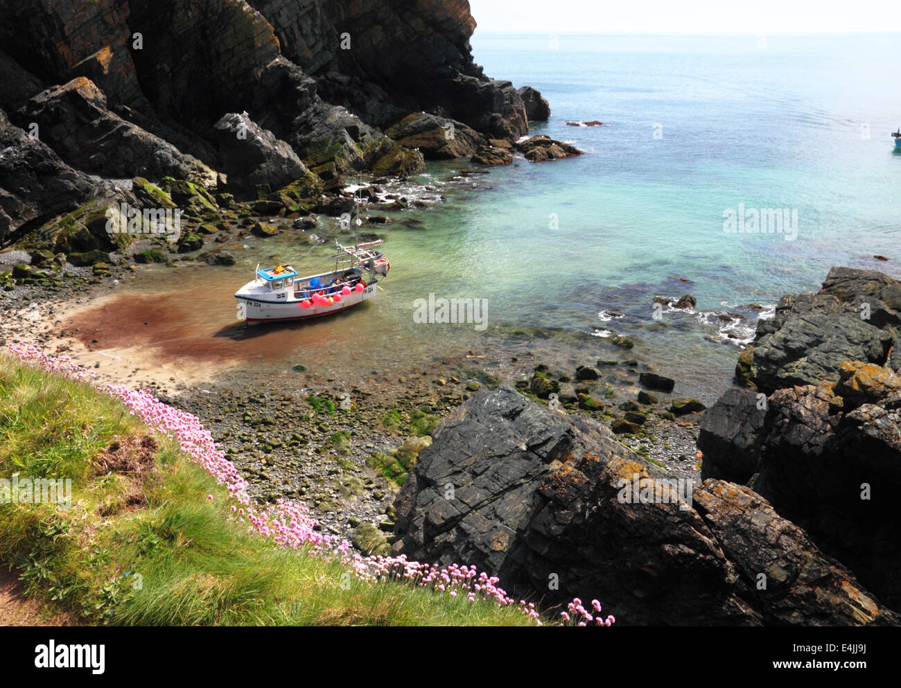 A fishing boat seen from above on a beach with pink thrift in the ...