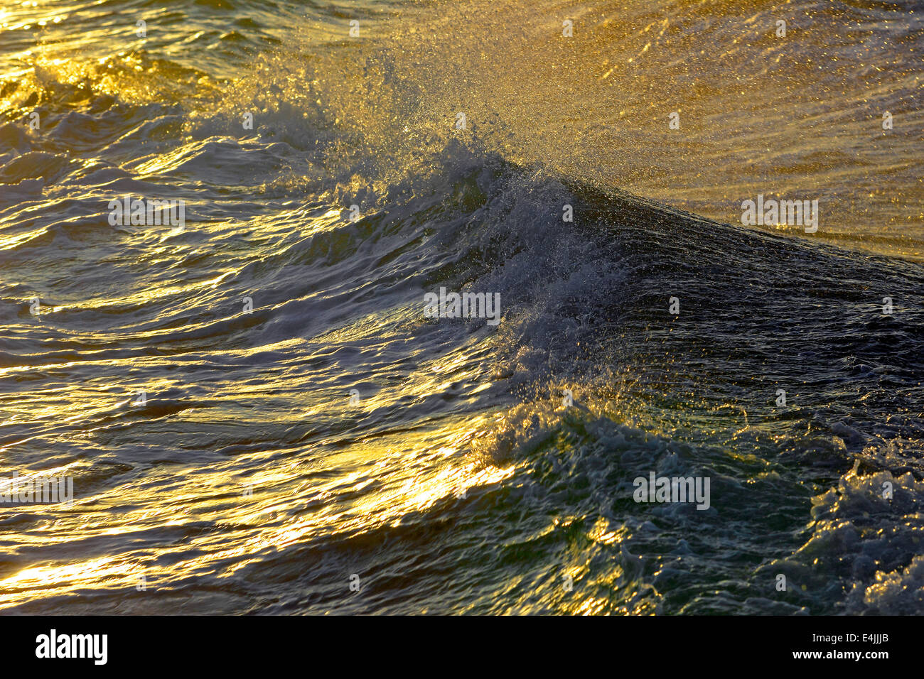 Wind whipped ocean waves at sunset Stock Photo - Alamy