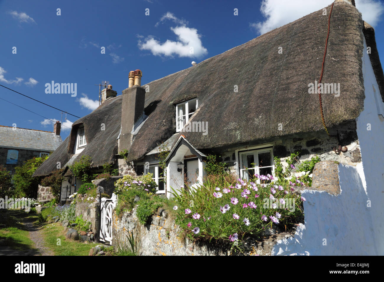 Thatched cottages at cadgwith hi-res stock photography and images - Alamy