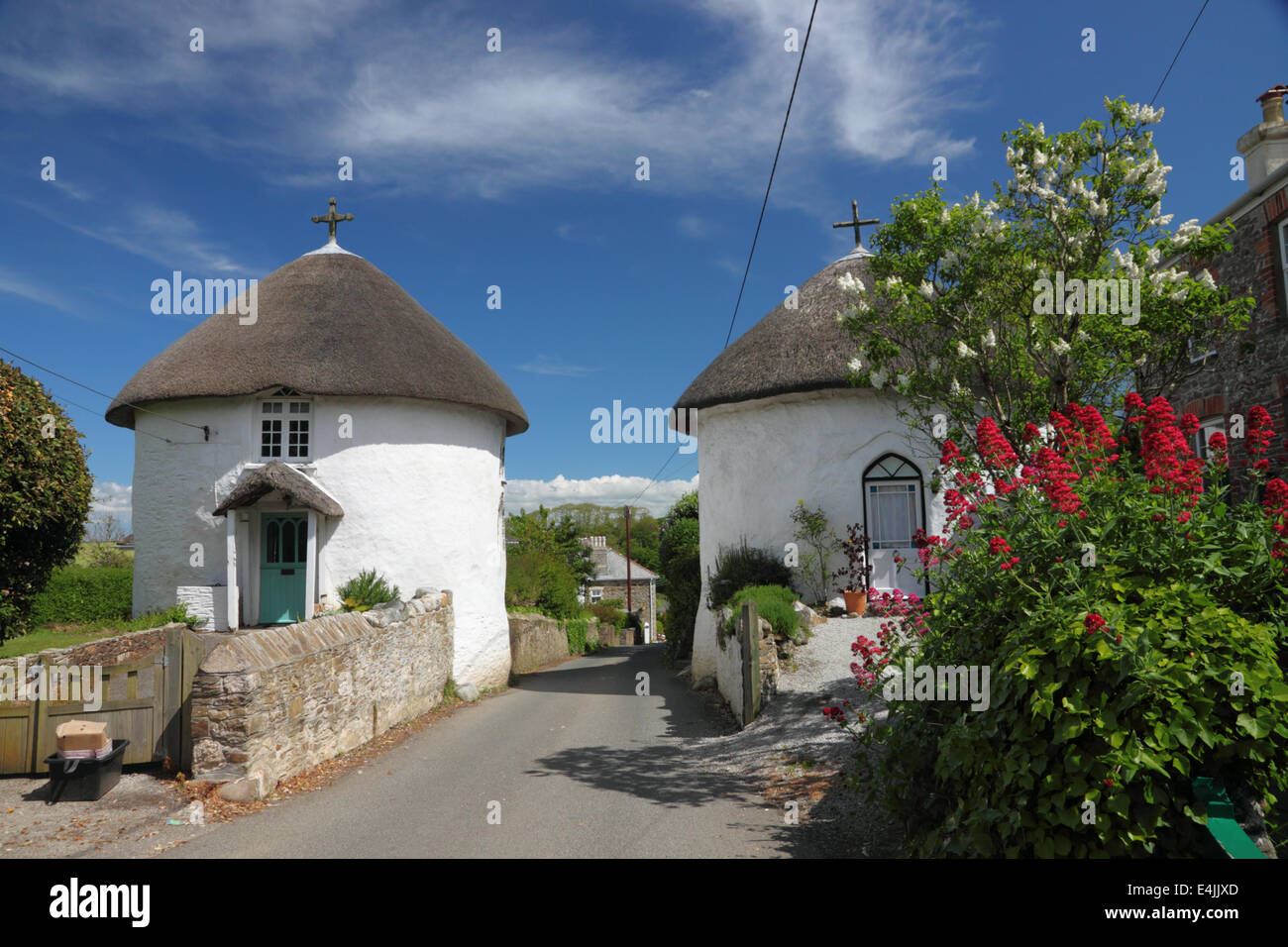 Two circular thatched cottages with a red flowering shrub in the ...