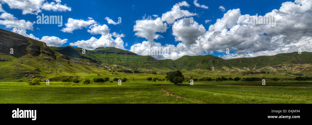 Butha buthe hi-res stock photography and images - Alamy