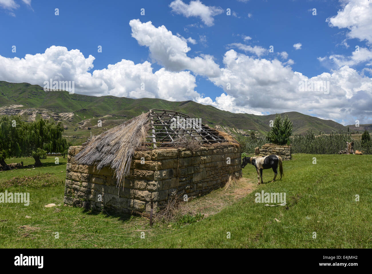 Half-built house and horse in the hilly landscape of the Butha-Buthe ...