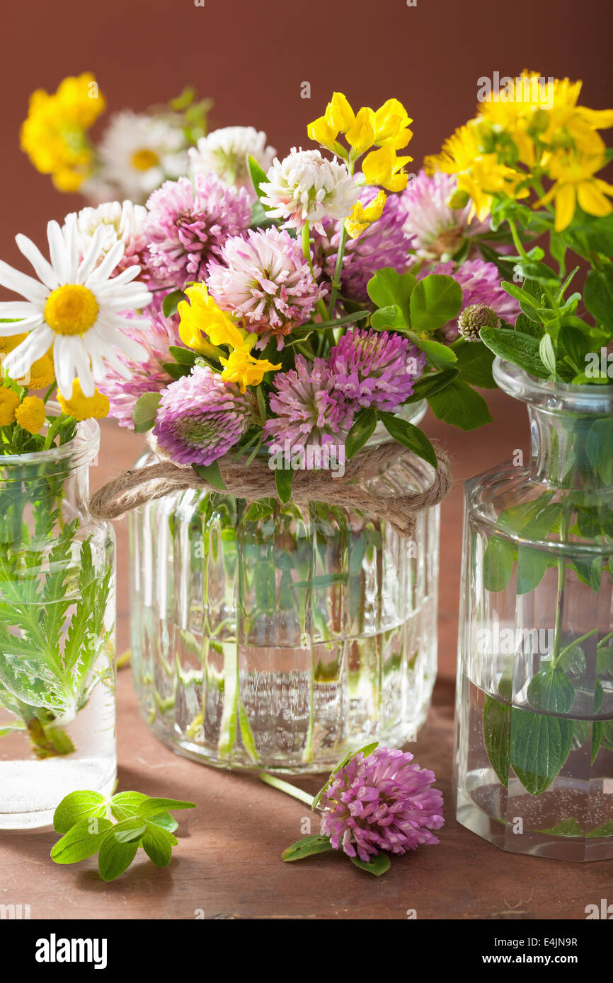 colorful medical flowers and herbs in bottles Stock Photo - Alamy