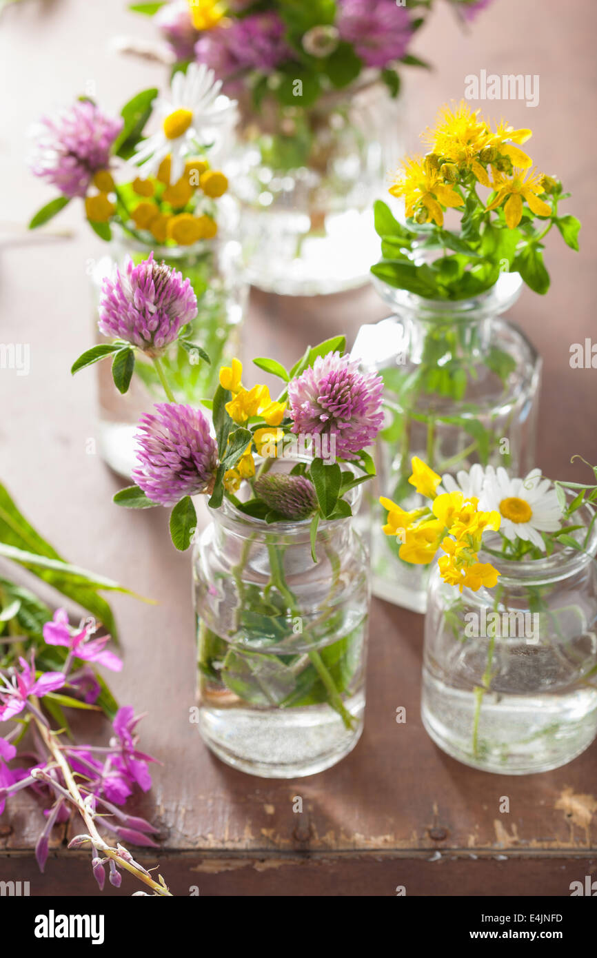 colorful medical flowers and herbs in bottles Stock Photo - Alamy