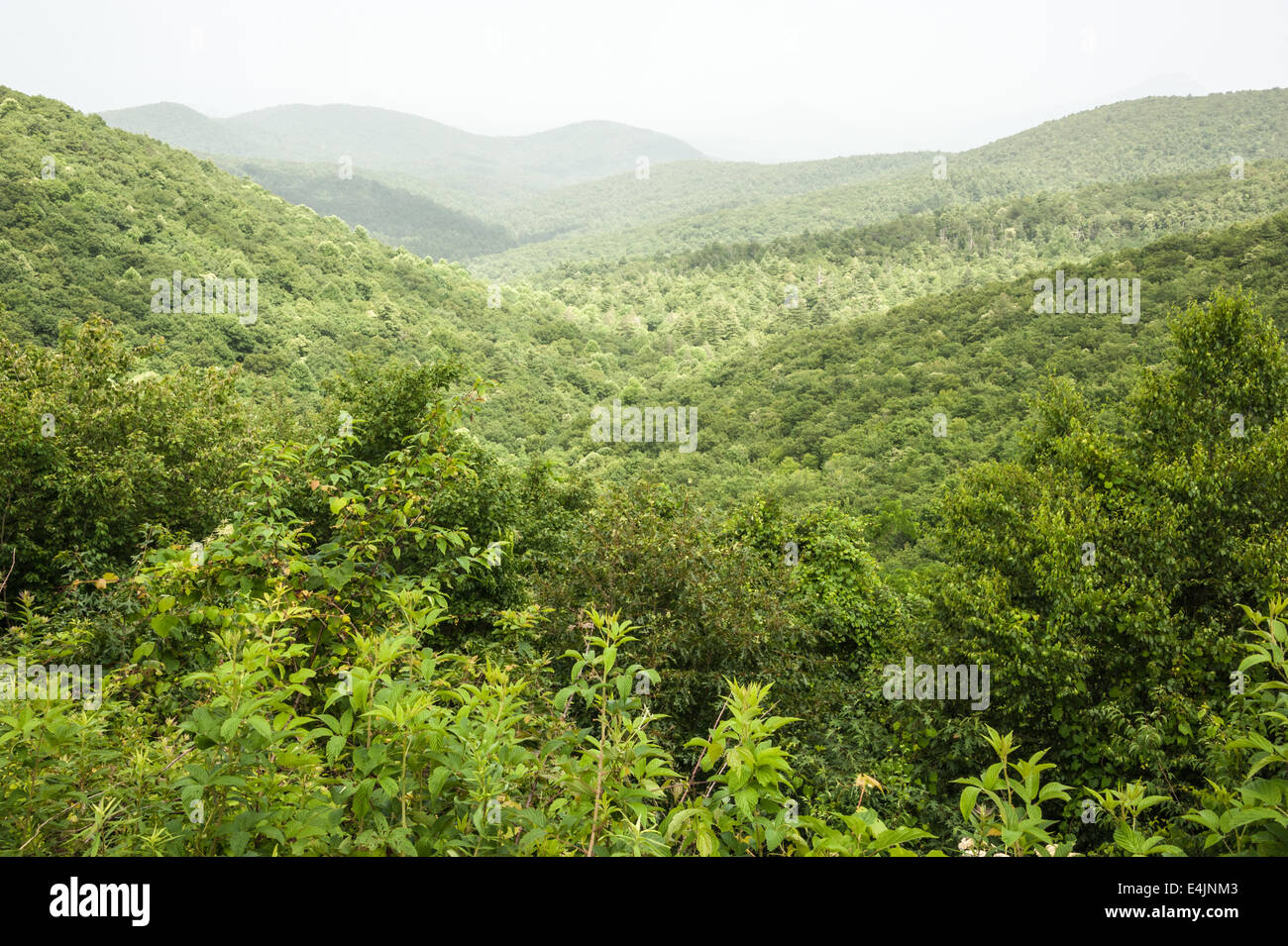 Summertime view of the Blue Ridge Mountains in North Georgia as seen ...