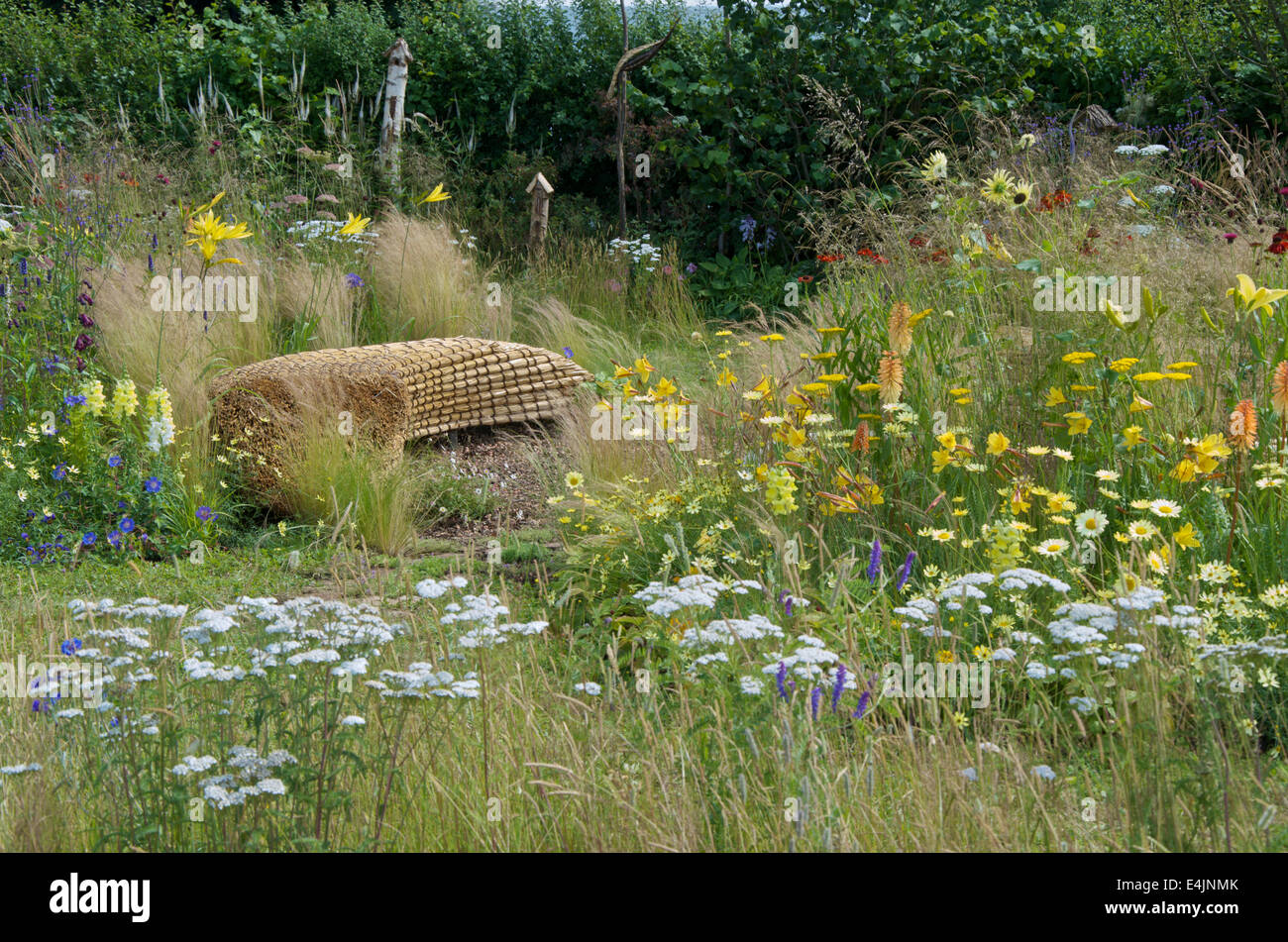 Wildlife garden hi-res stock photography and images - Alamy