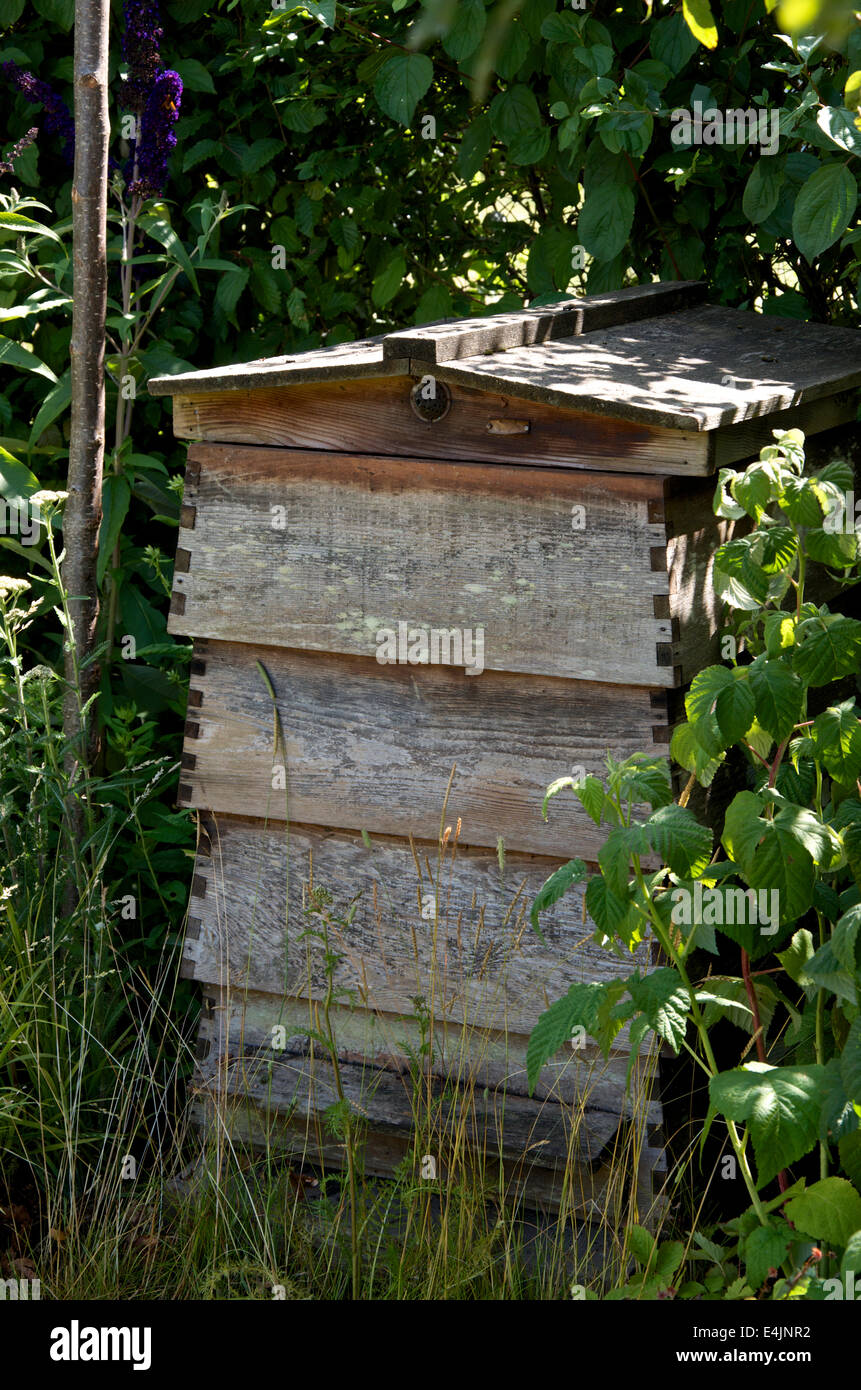 Old wooden beehive in hi-res stock photography and images - Alamy