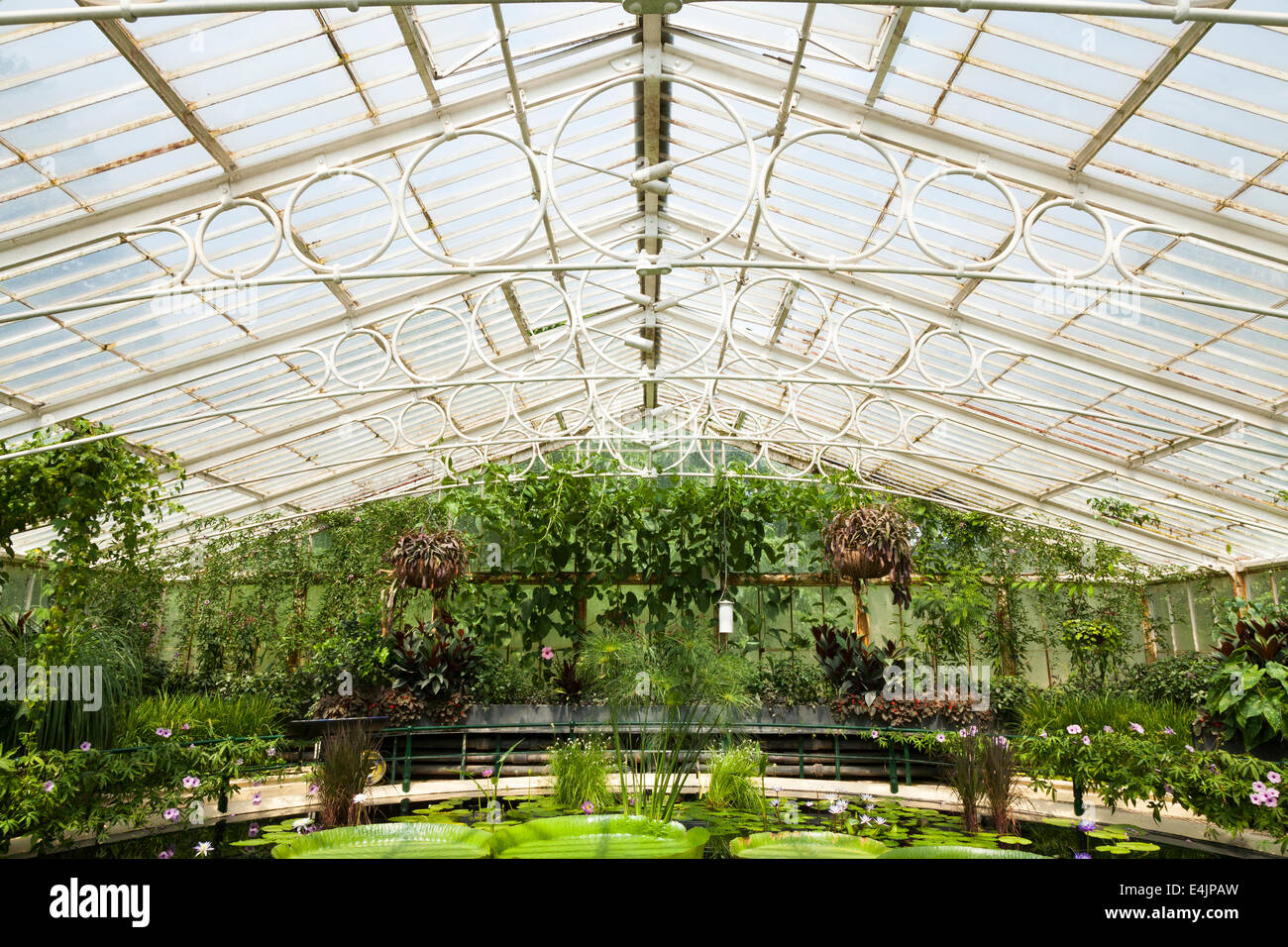 Lillyhouse hi-res stock photography and images - Alamy