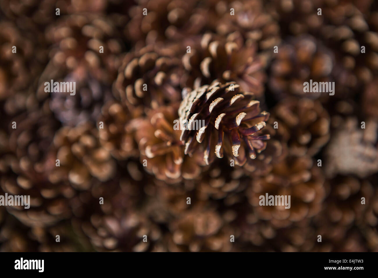 Pile cone hi-res stock photography and images - Alamy