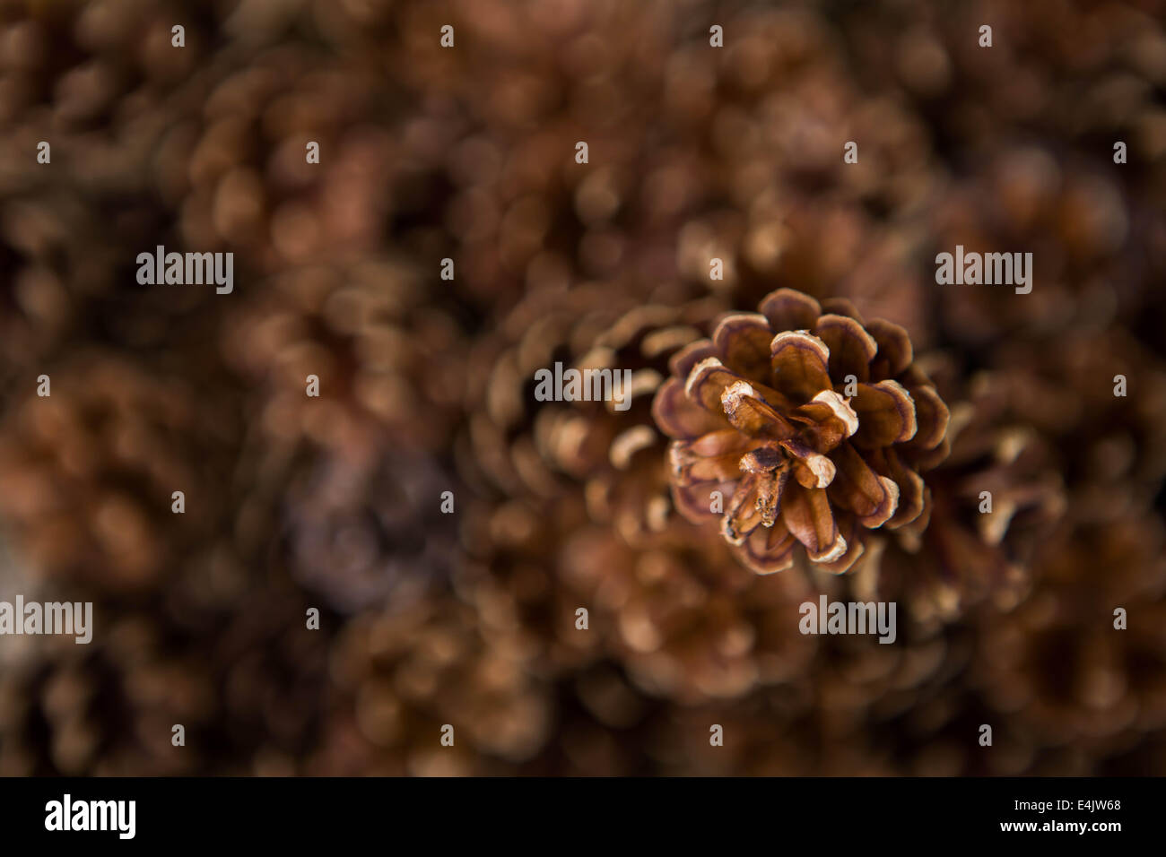 Stack of cones hi-res stock photography and images - Alamy