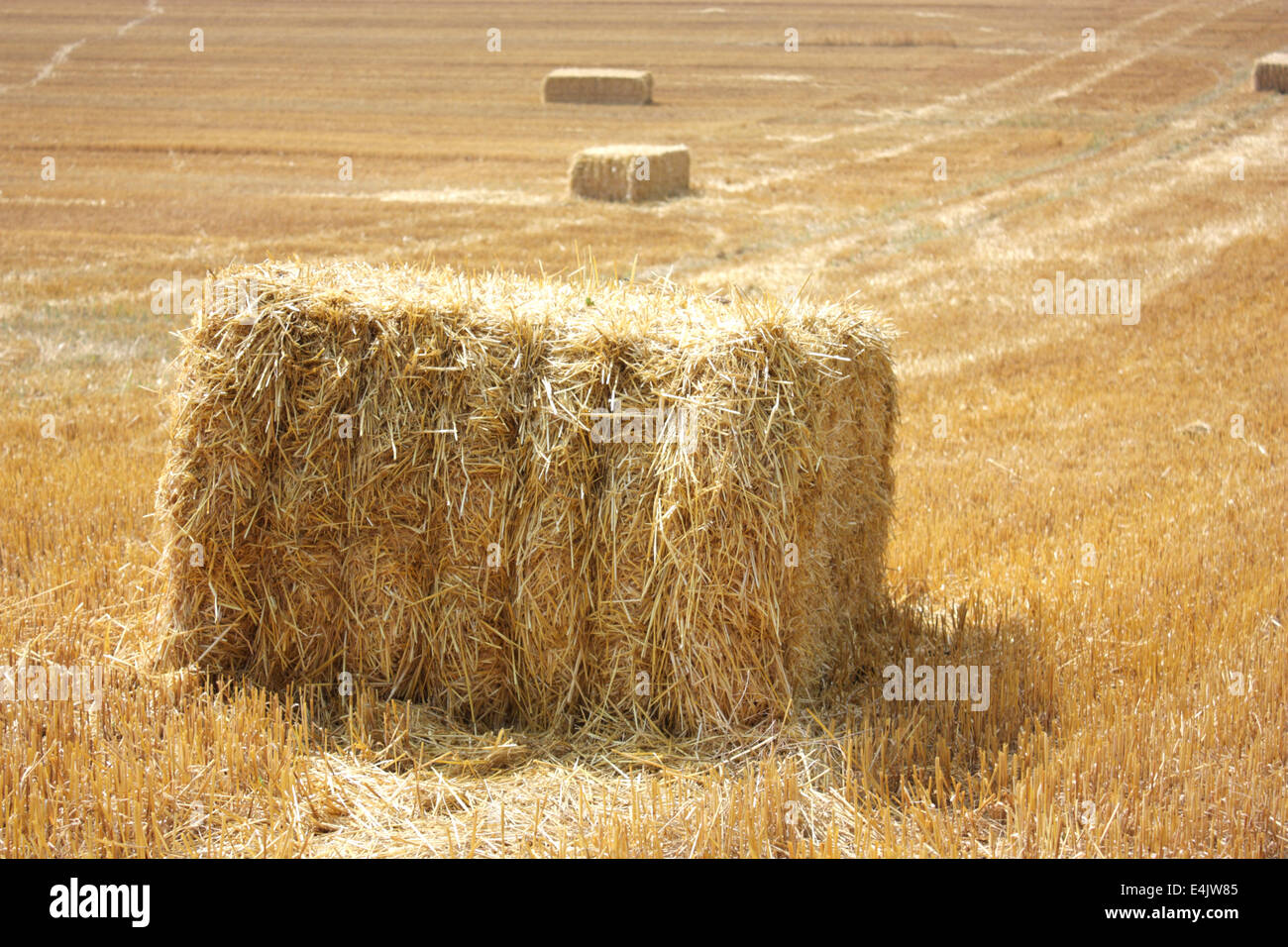 close up view of a bale of hay freshly harvested Stock Photo - Alamy