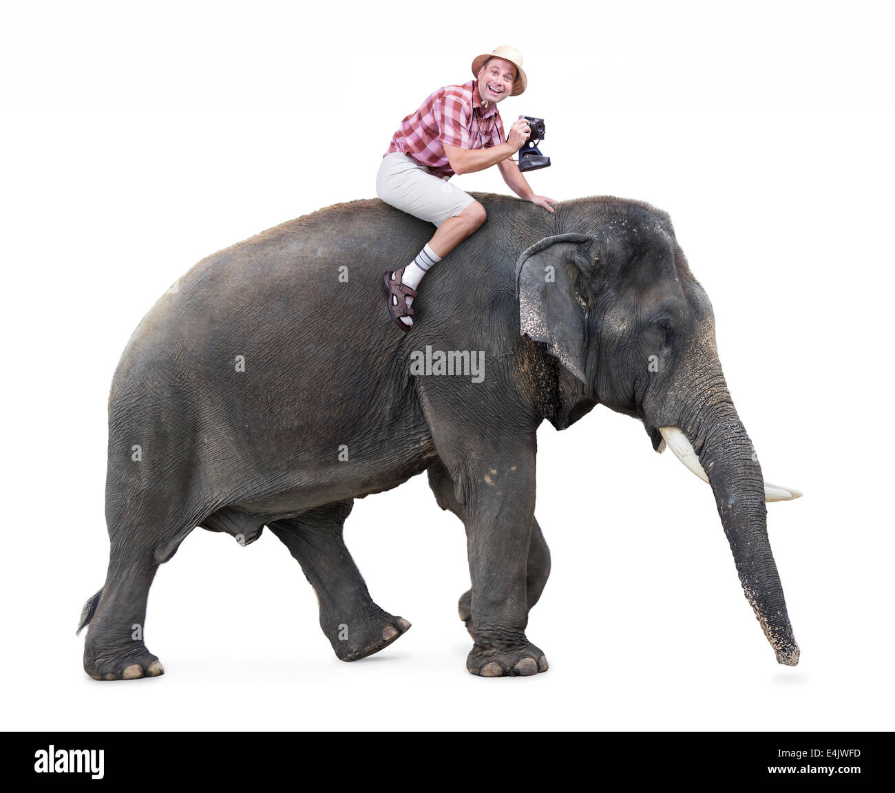Elephant carrying heavy Cut Out Stock Images & Pictures - Alamy