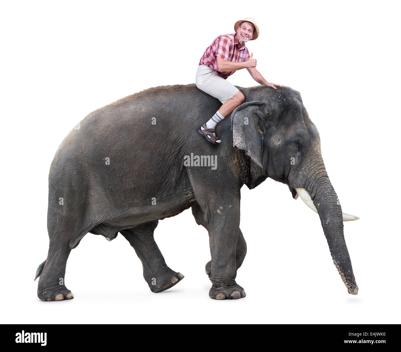 Elephant driver Cut Out Stock Images & Pictures - Alamy