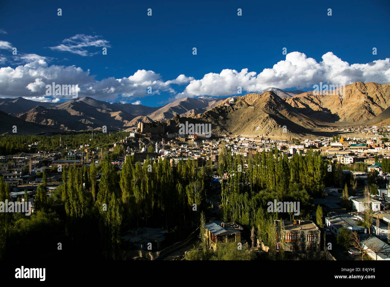 View of Leh, the capital of Ladakh Stock Photo - Alamy