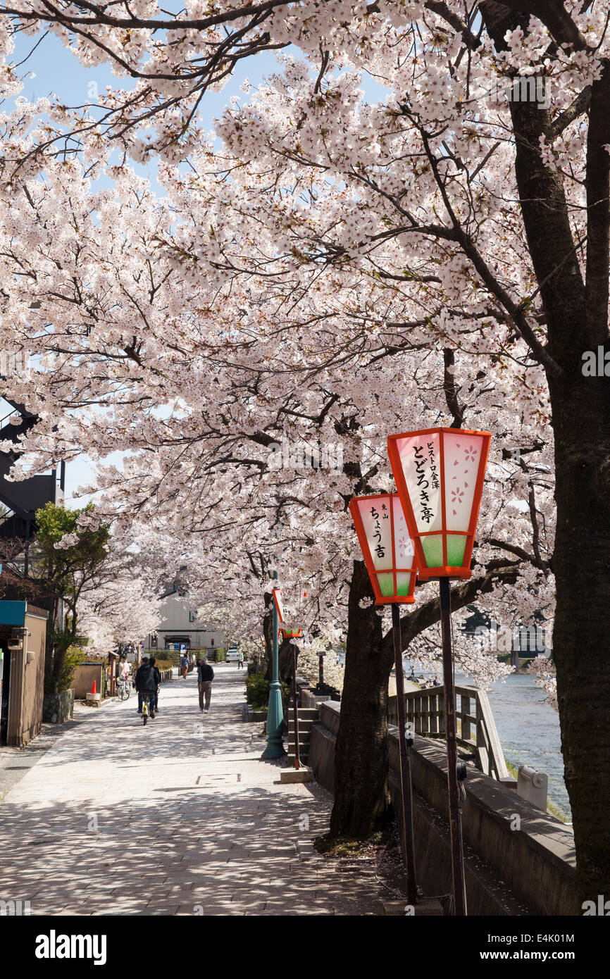 People walking and bicycling on Shusei no michi (Shusei Street) in the ...