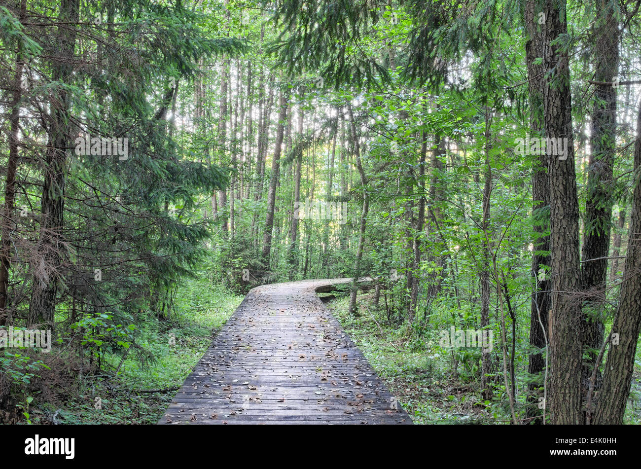 Bridge footpath hi-res stock photography and images - Alamy